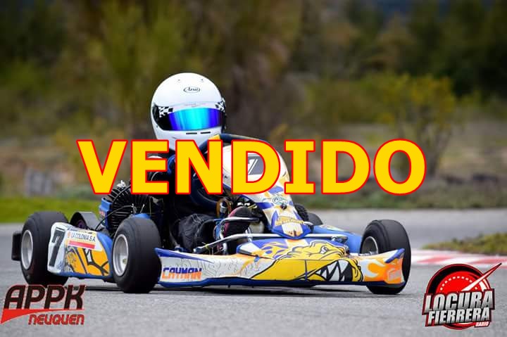 Chasis Lenzo Kart Caimán año 2013 "Cadete" con motor Parilla 60cc Mini ...